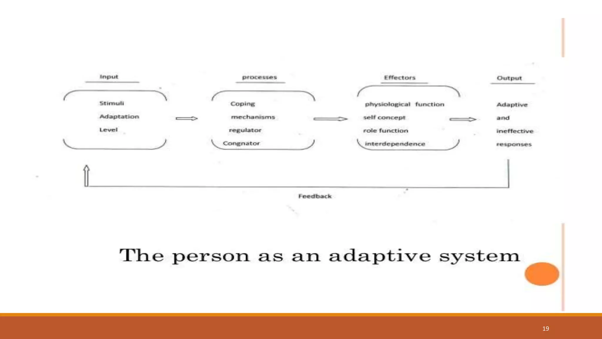 Roy nursing theory | PPTX