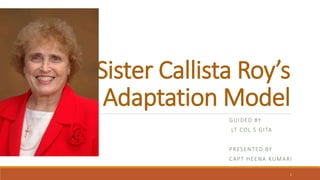 Roy nursing theory | PPTX