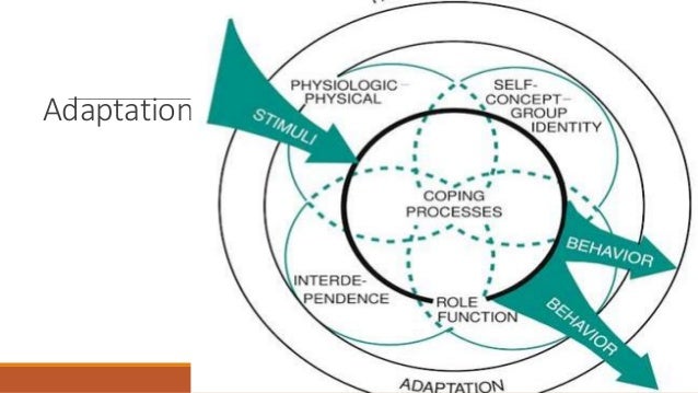 Roy Nursing Theory Model The Effects Of Nursing Of Roy Adaptation