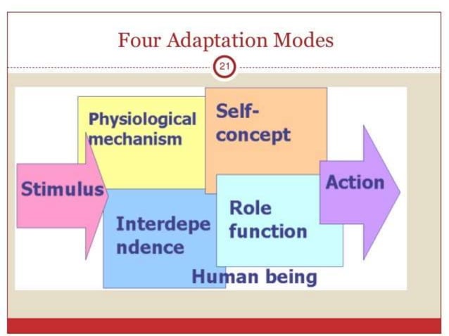 Roys adaptation theory | PPTX | Medical Health