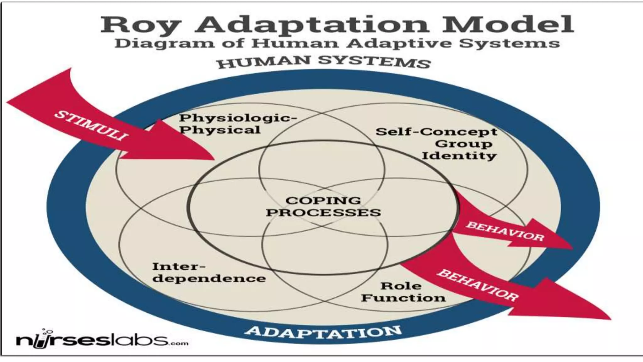 roys adaptation model.pptx