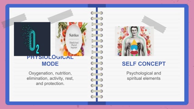 roys adaptation model.pptx