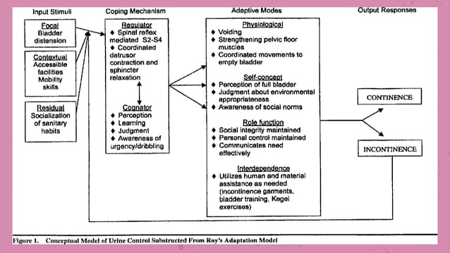 roys adaptation model.pptx