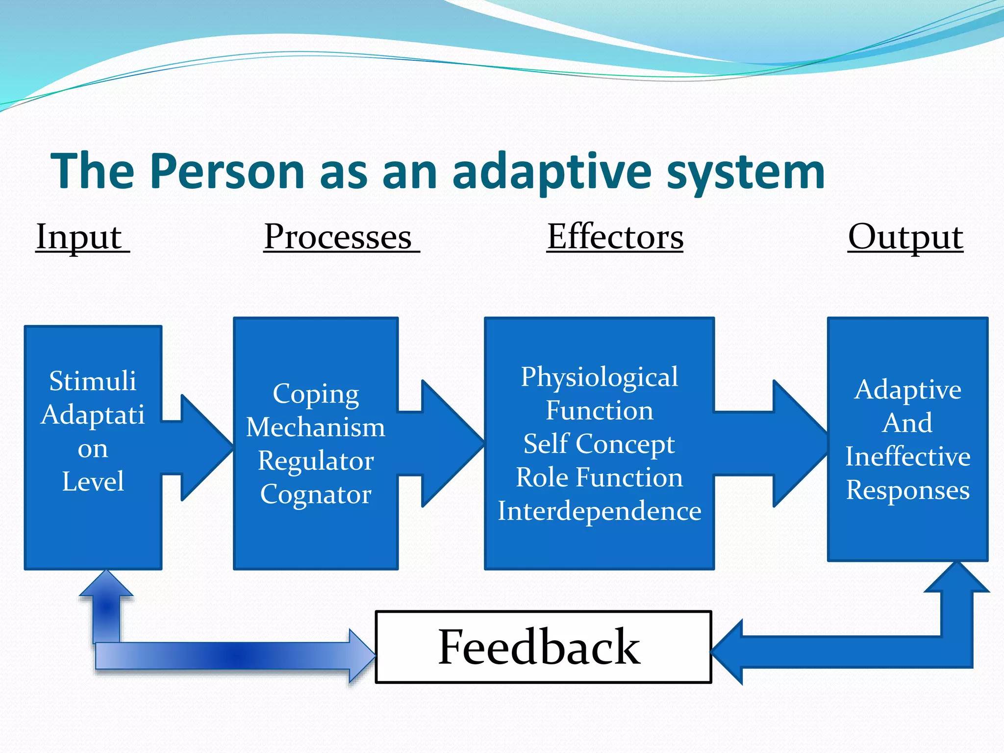 Roys adaptation model.pptx