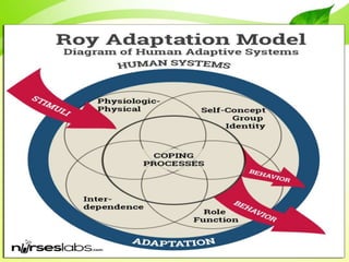 Nursing Roy's adaptation theory | PPT | Science