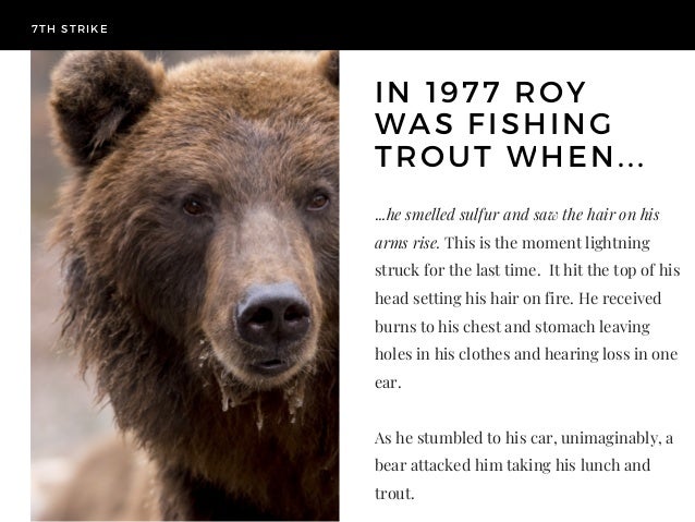 Roy Sullivan - The Human Lightning Rod - Field Pros Direct | PPT