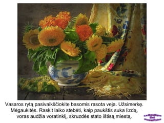 Rozinis gyvenimas | PPS