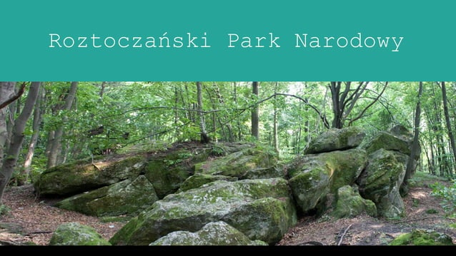 Roztoczański Park Narodowy | PDF | Landscaping | Home & Garden