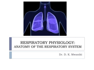 RP1 anatomy of the respiratory system.pptx