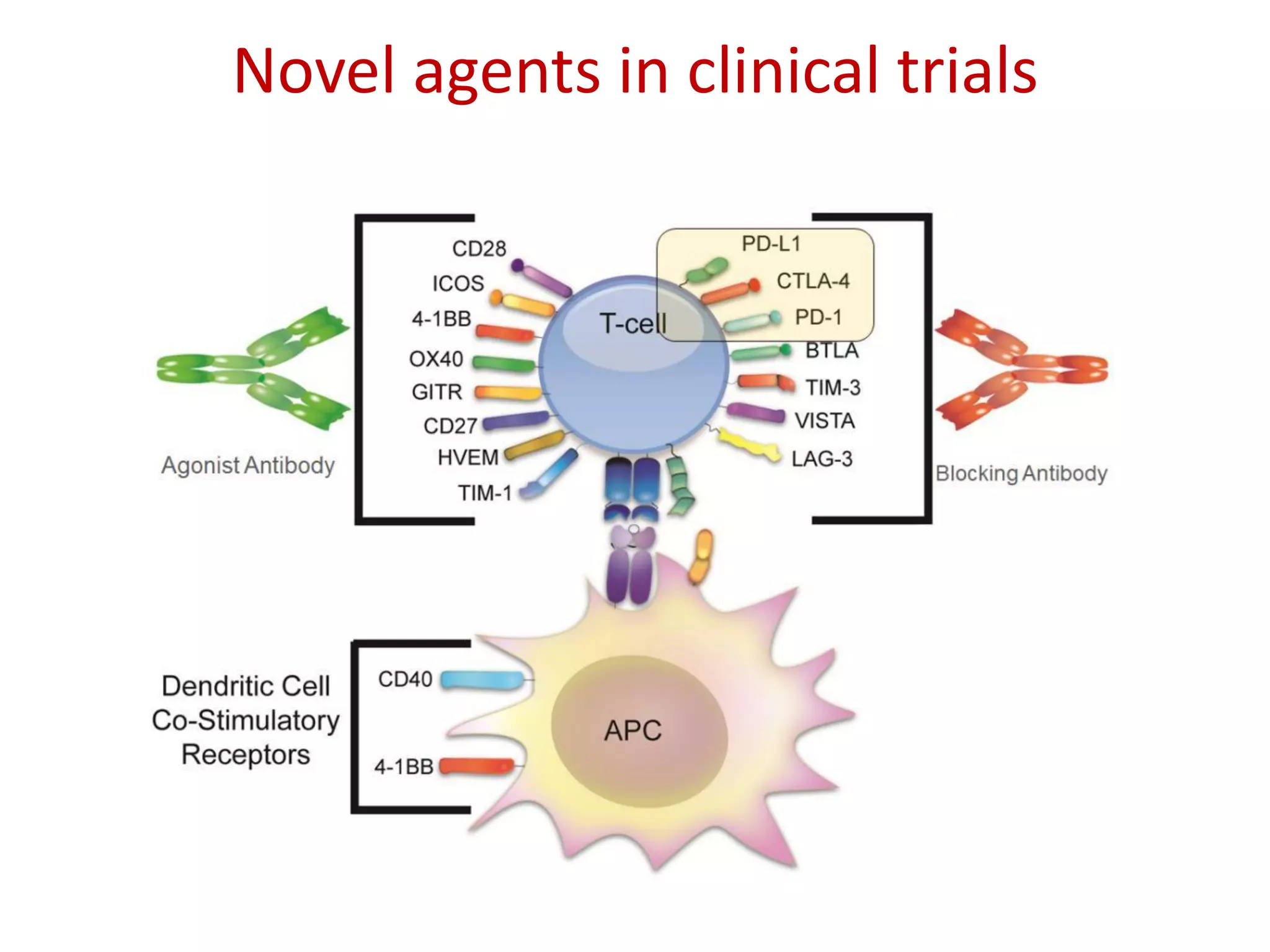 Update on Management of Triple Negative Breast Cancer | PDF