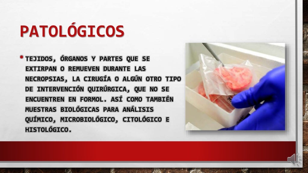 Residuos Peligrosos Biológico-Infecciosos (RPBI)