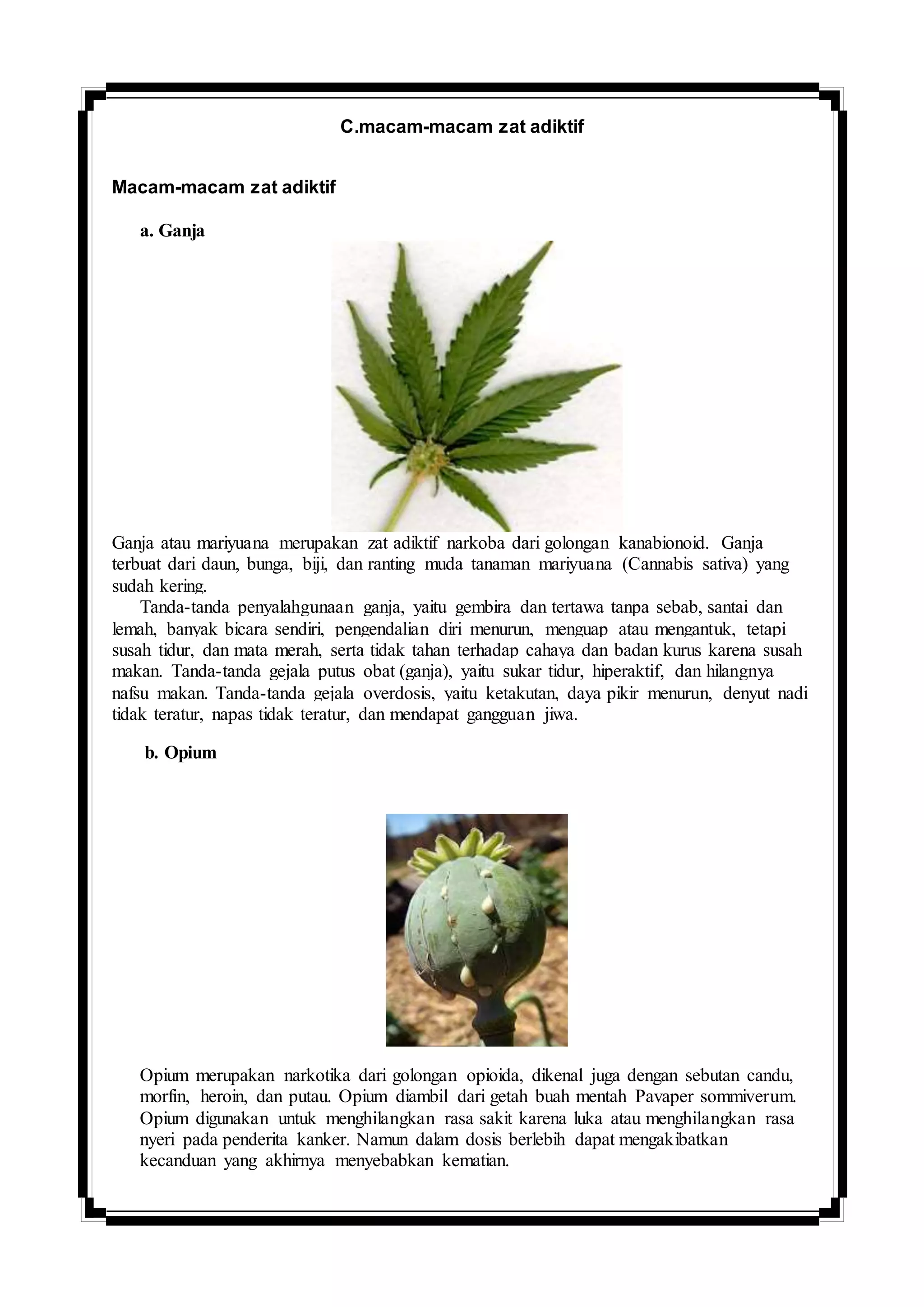 Makalah Zat Adiktif | DOCX