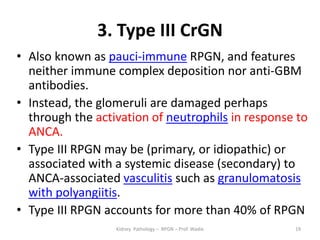 Rpgn renal pathology- prof wadie | PDF | Blood Disorders | Diseases and ...