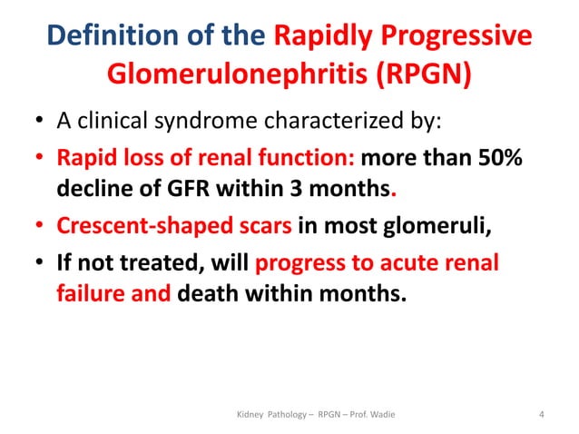 Rpgn renal pathology- prof wadie | PDF | Blood Disorders | Diseases and ...