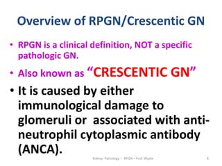 Rpgn renal pathology- prof wadie | PDF | Blood Disorders | Diseases and ...