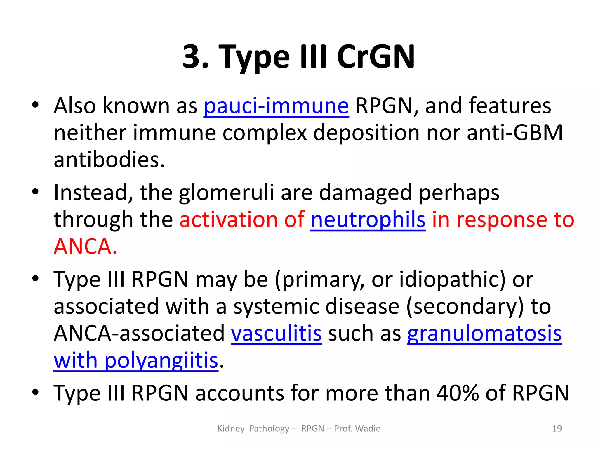 Rapidly Progressive Glomerulonephritis - renal pathology- prof wadie | PPTX