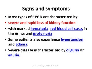 Rapidly Progressive Glomerulonephritis - renal pathology- prof wadie | PPTX