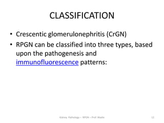 Rapidly Progressive Glomerulonephritis - renal pathology- prof wadie | PPTX