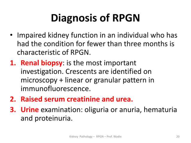 Rapidly Progressive Glomerulonephritis - renal pathology- prof wadie | PPT