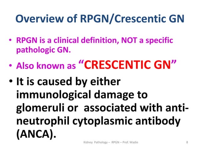 Rapidly Progressive Glomerulonephritis - renal pathology- prof wadie | PPT
