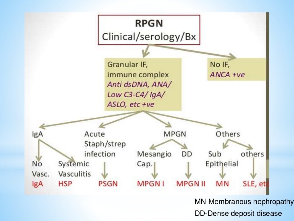 RAPIDLY PROGRESSIVE GLOMERULONEPHRITIS(RPGN)