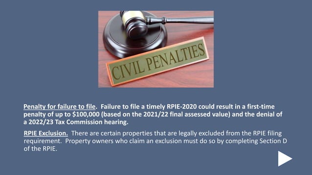 Rpie 2021 overview | PPTX | Personal Taxes | Personal Finance