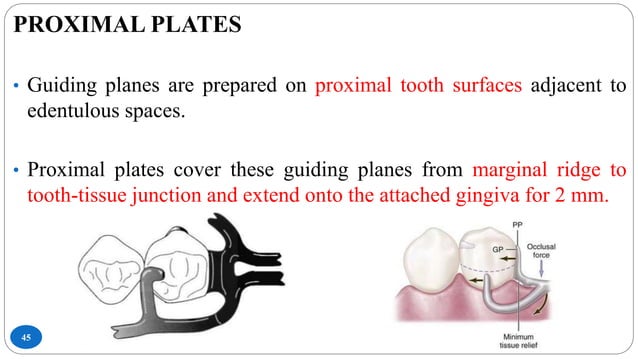 RPI & RPA system | PPTX | Dental Health | Diseases and Conditions