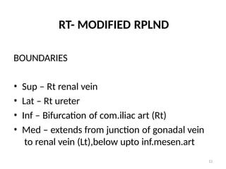 RETRO PERITONEAL LYMPHNODE DISSECTION CA | PPTX