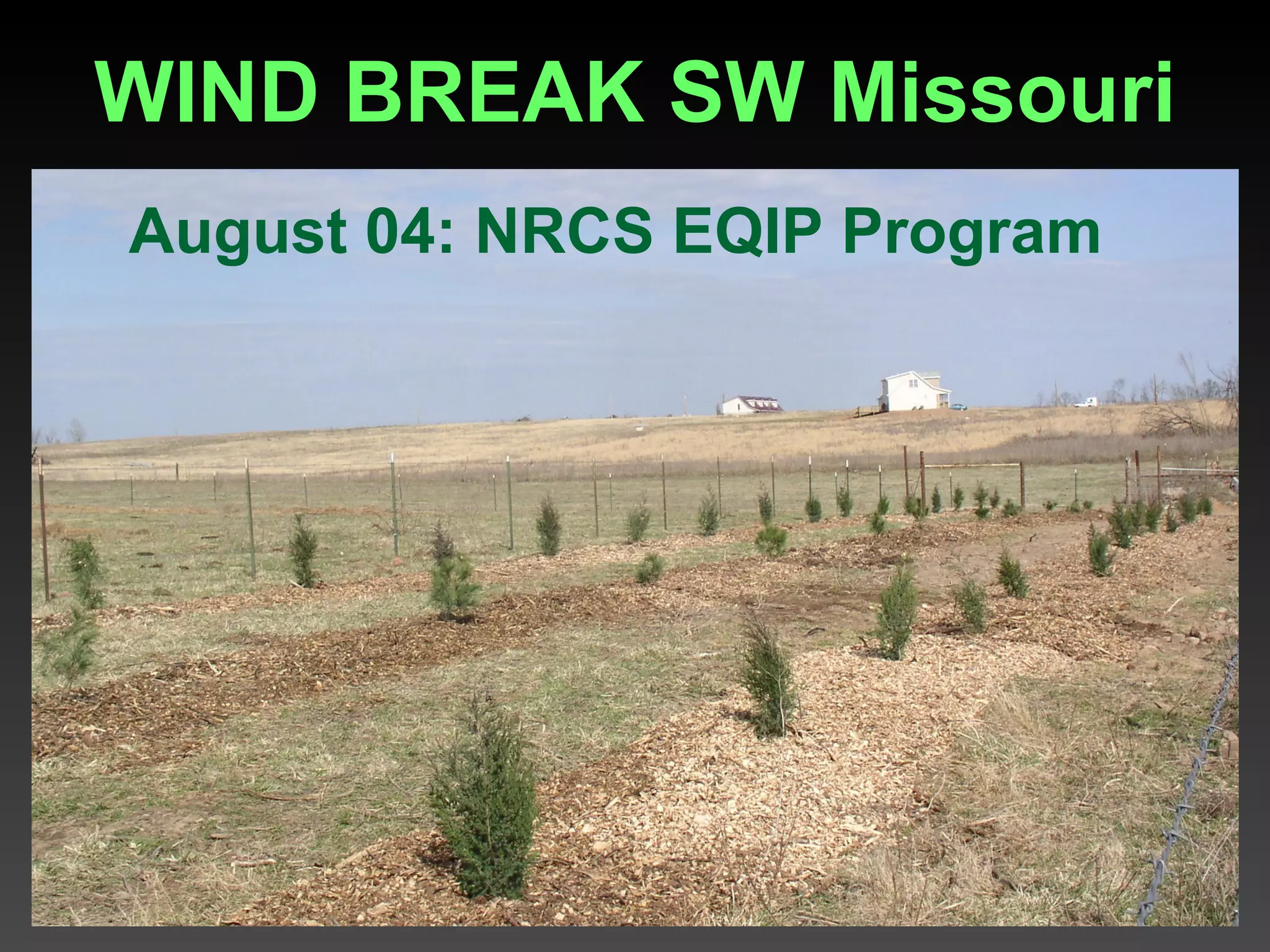 RPM High Performance Trees | PPT