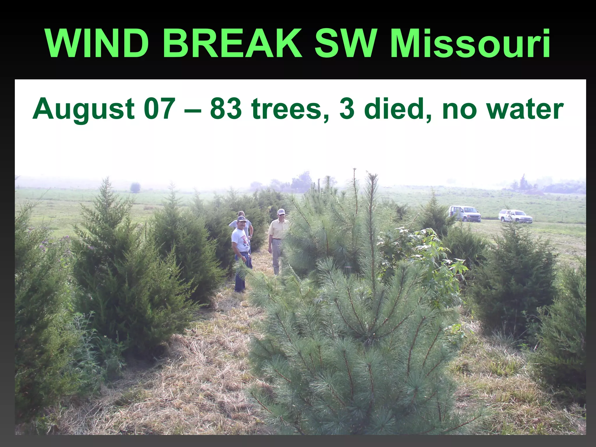 RPM High Performance Trees | PPT