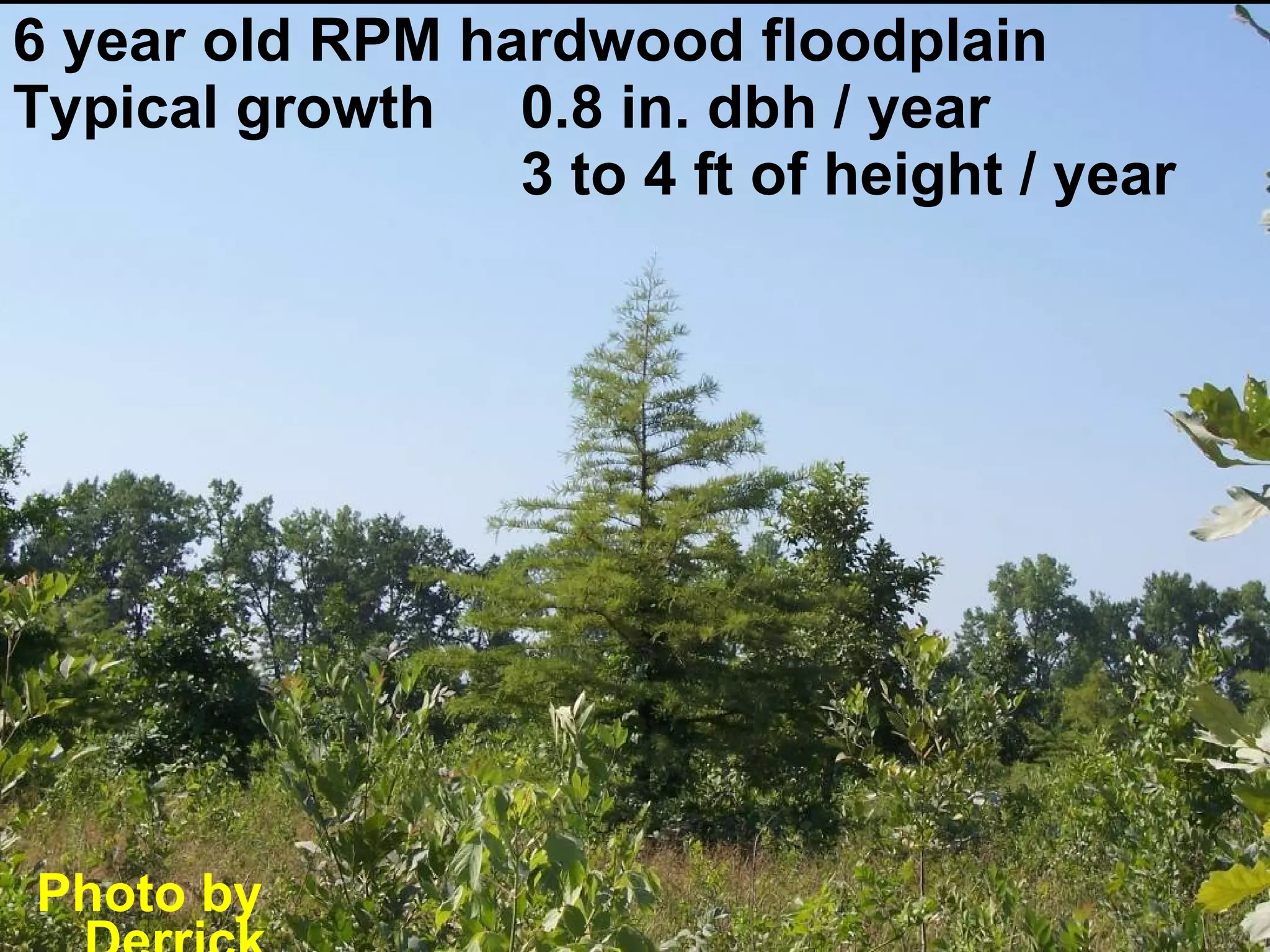 RPM High Performance Trees | PPT
