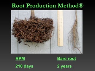 RPM High Performance Trees | PPT | Free Download