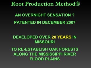RPM High Performance Trees | PPT | Free Download