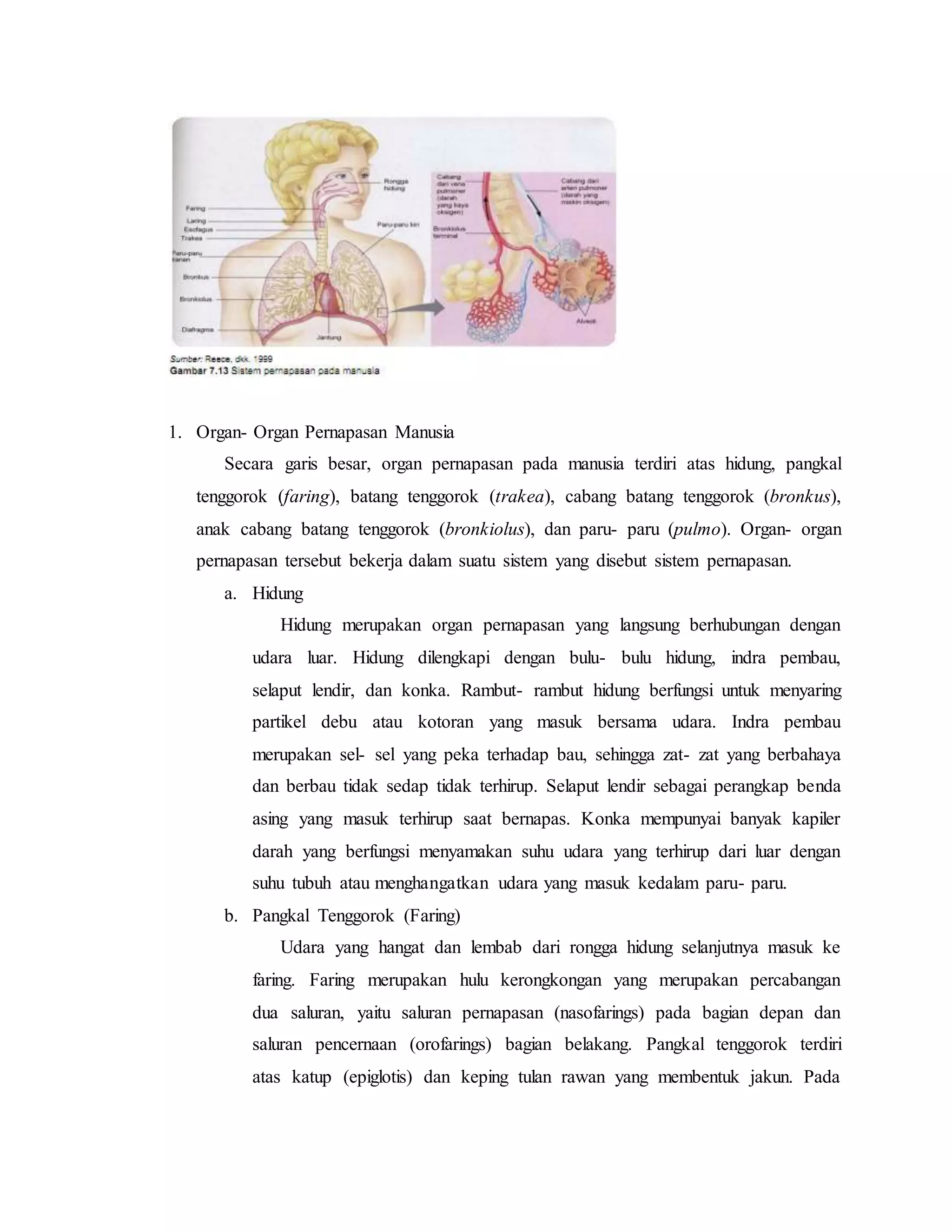 Rpp sistem pernapasan manusia | DOCX