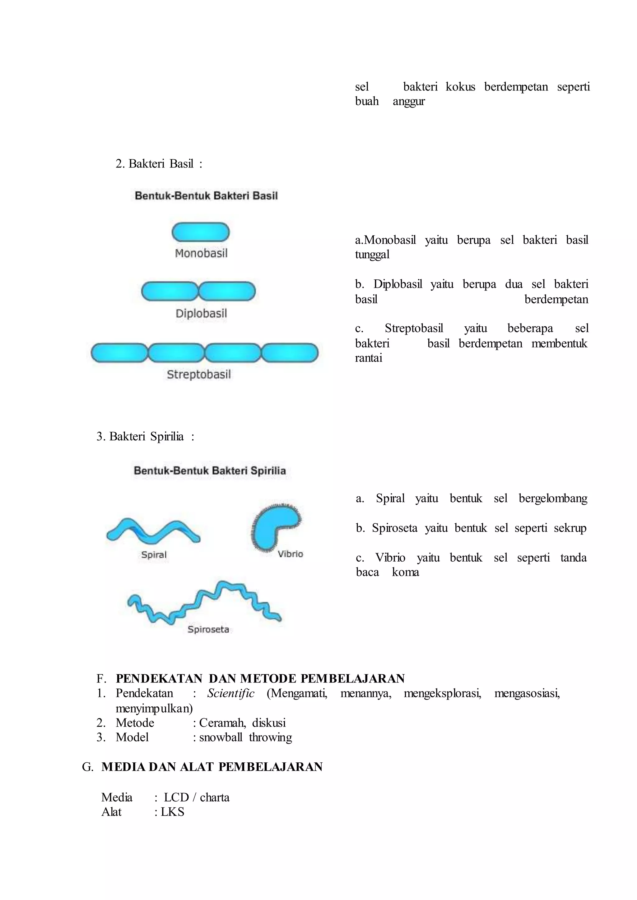 Rpp bakteri wahyuni | DOCX
