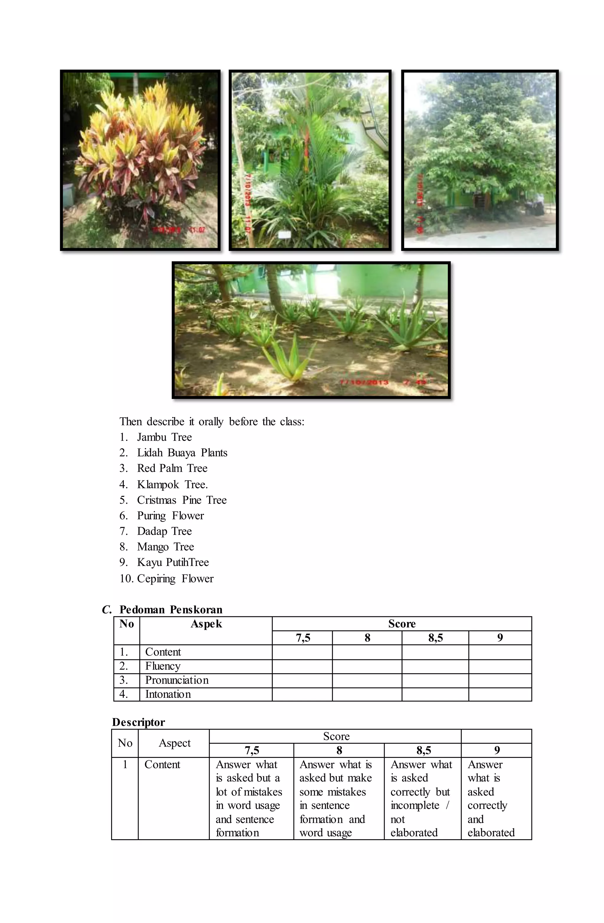 Rpp big 8 4.2 lh descriptive text | DOCX