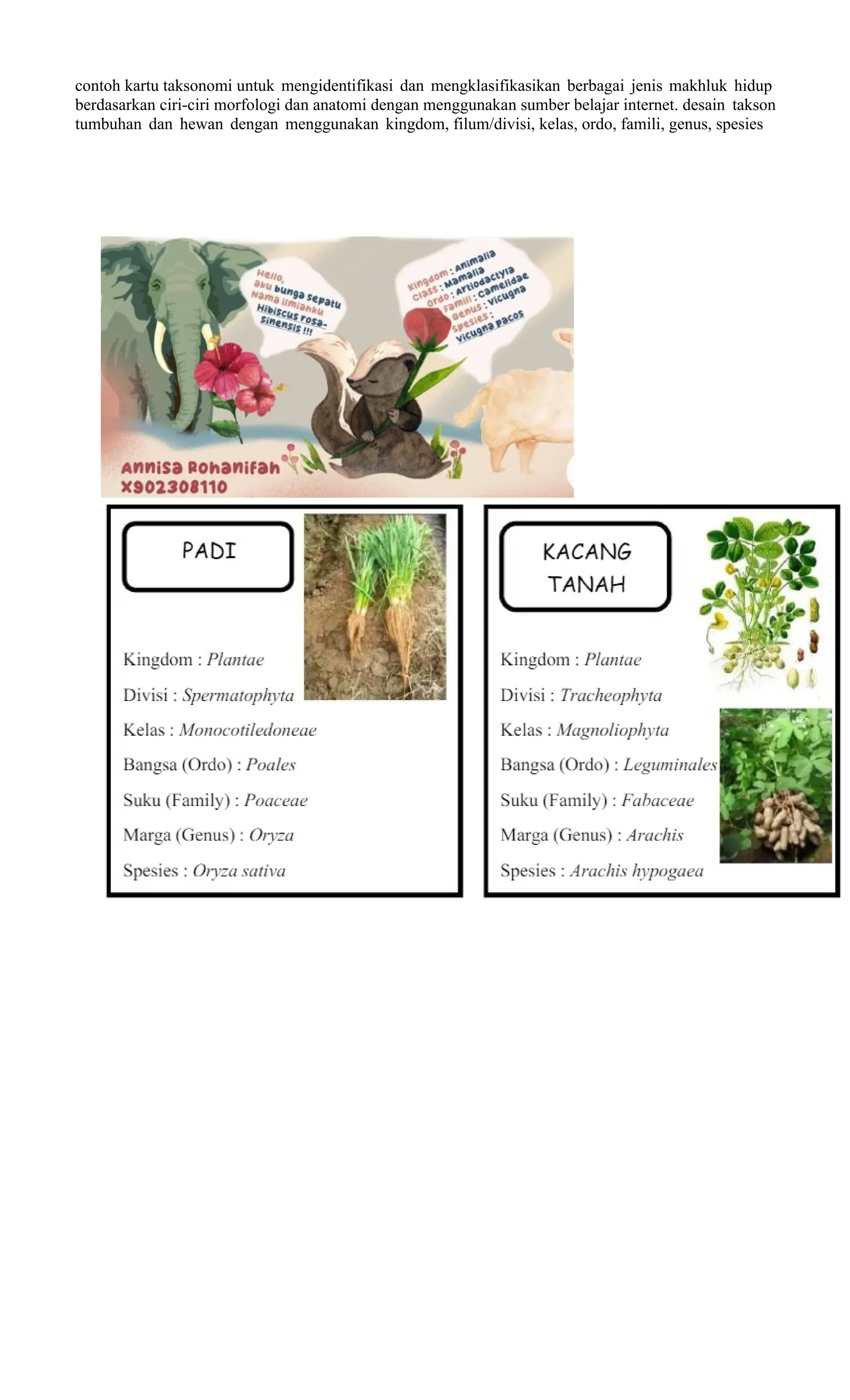 rpp deep learning IPA smp kelas tujuh.docx