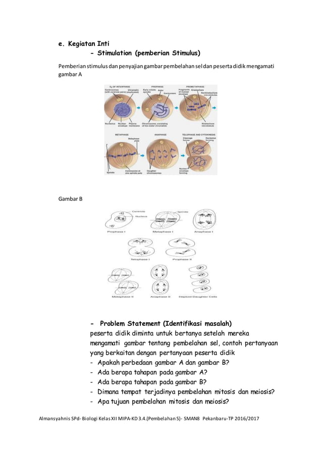 RPP BIOLOGI KELAS XII KD 3.4 (pembelahan sel) | DOCX