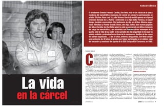 DON NETO REV PROCESO | PDF