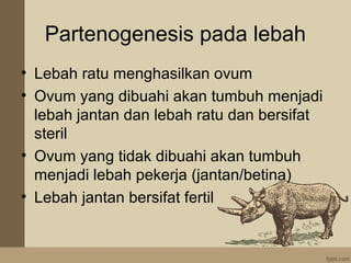 Reproduksi pada hewan | PPT