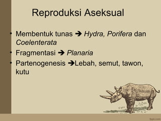 Reproduksi pada hewan | PPT
