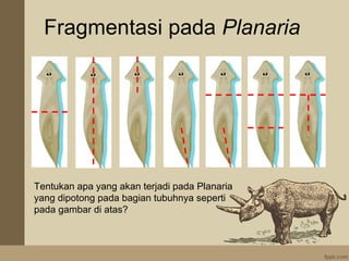 Reproduksi pada hewan | PPT