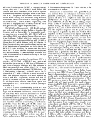 rprotein2 | PDF