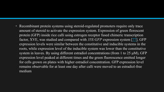 R protein expression in rice | PPTX | Biotech and Biomedical Industry ...