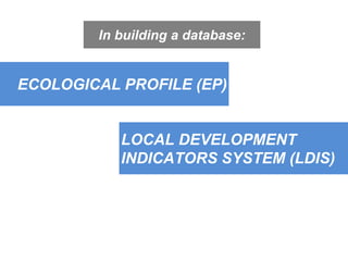 Rationalized Planning System | PPTX