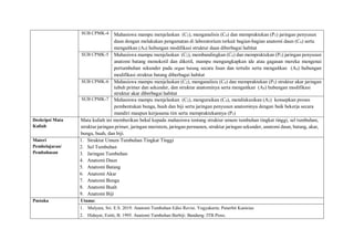 RPS Anatomi Tumbuhan universitas indraprasta PGRI.pdf