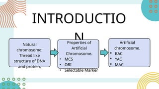 Bacterial Artificial Chromosome (BAC).pptx
