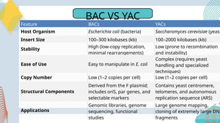 Bacterial Artificial Chromosome (BAC).pptx
