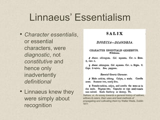 Philosophical_Origins_of_Essentialism_talk.ppt