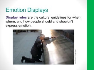 Reflect and Relate - PowerPoint - Chapter 5 | PPTX